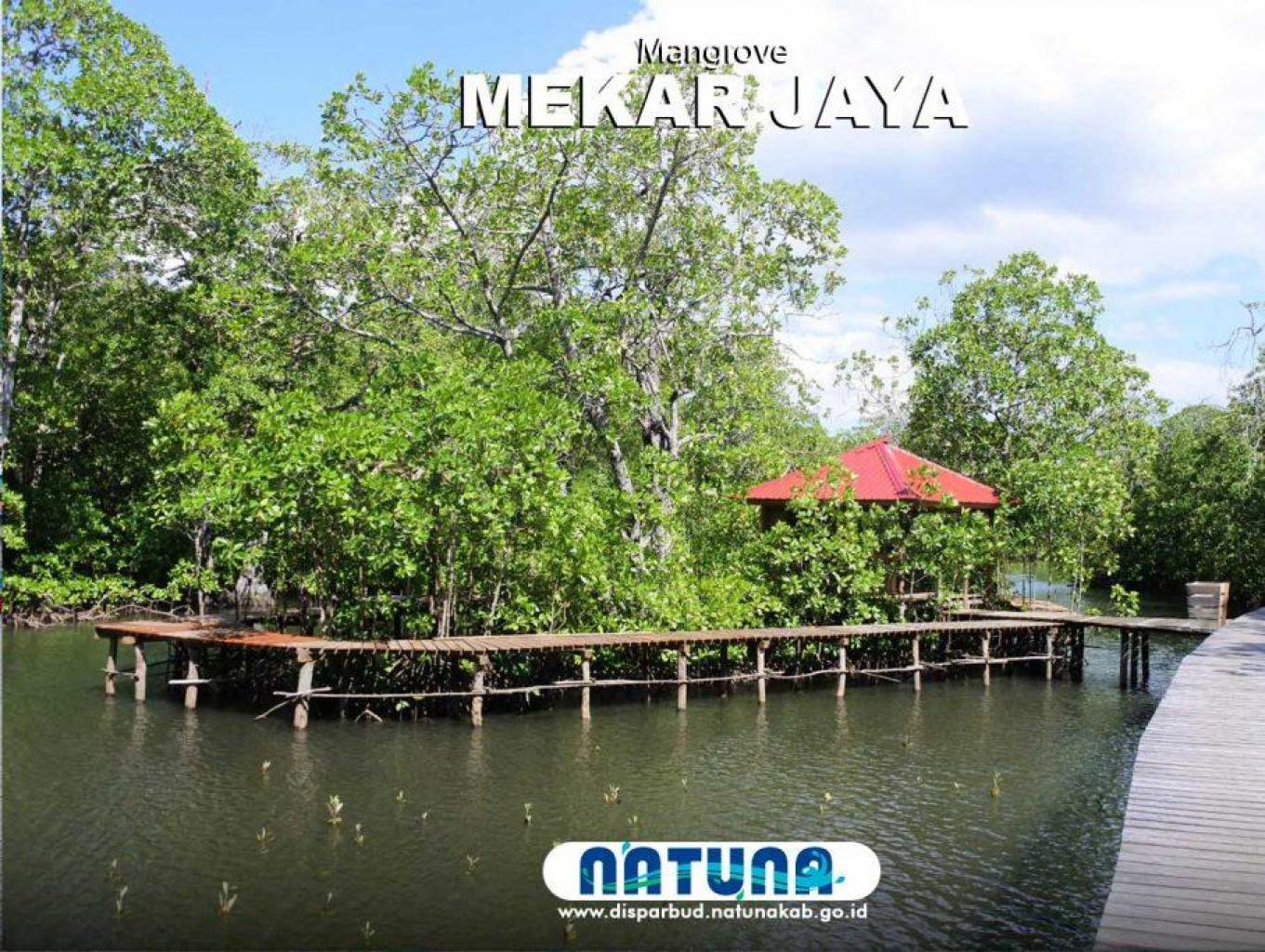 Desa Mekar Jaya Masuk 300 Besar ADWI – GEOPARK NATUNA