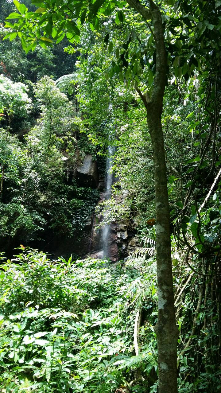 Pesona Geosite di Gunung Tertinggi di Natuna: Geosite Gunung Ranai ...